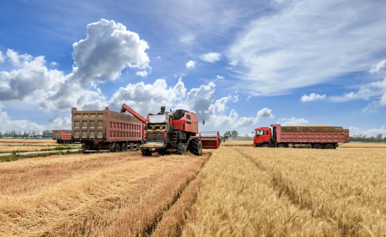 Exploring the Complexity of Compound Land - Real Estate Crunch